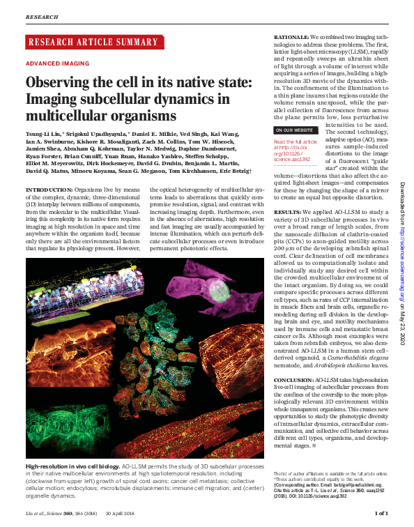 (PDF) Observing the cell in its native state: Imaging subcellular ...