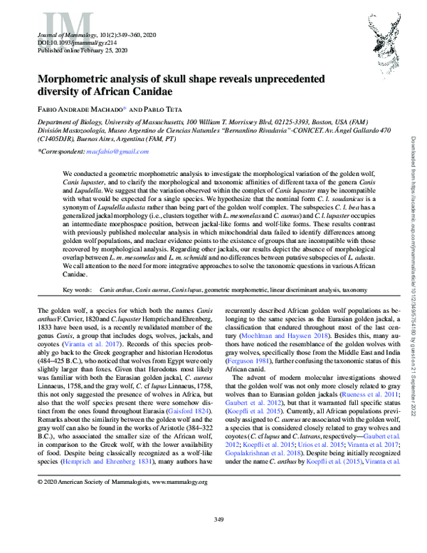 (PDF) Morphometric analysis of skull shape reveals unprecedented ...