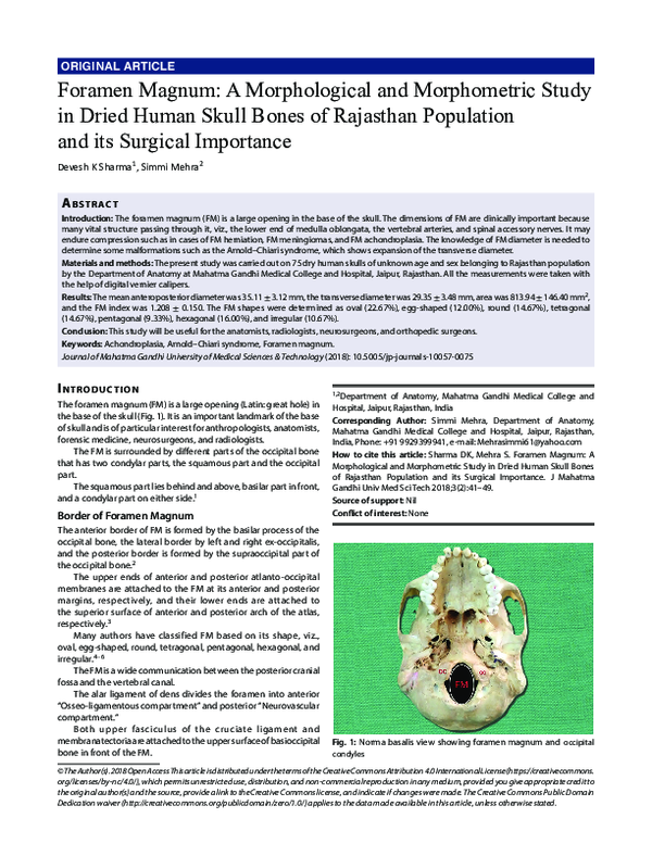 (PDF) Foramen Magnum: A Morphological and Morphometric Study in Dried ...