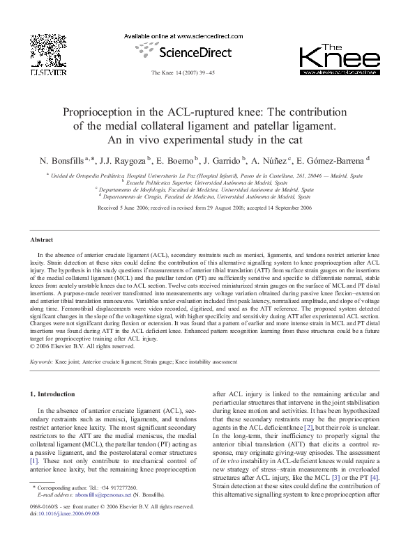 (PDF) Proprioception in the ACL-ruptured knee: The contribution of the ...