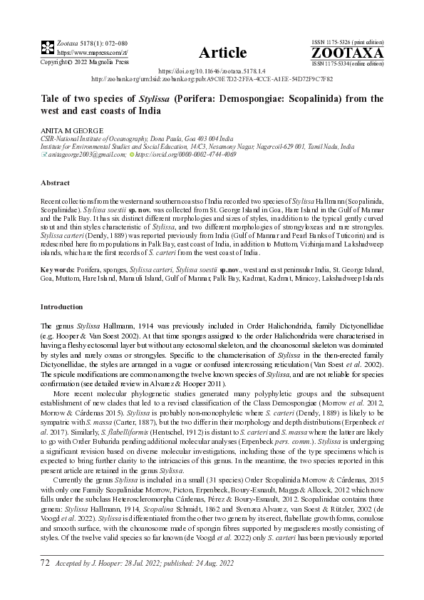 (PDF) Tale of two species of Stylissa (Porifera: Demospongiae ...