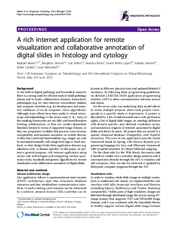 (PDF) A rich internet application for remote visualization and ...