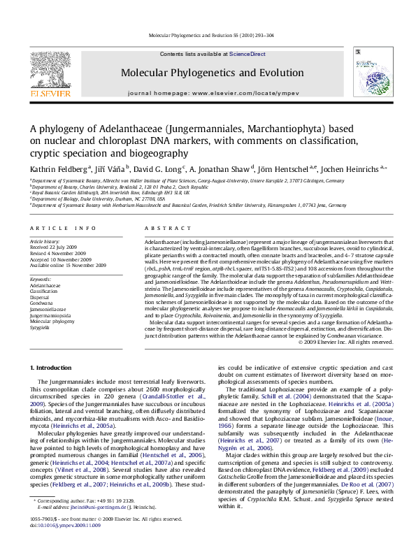 (PDF) A phylogeny of Adelanthaceae (Jungermanniales, Marchantiophyta ...