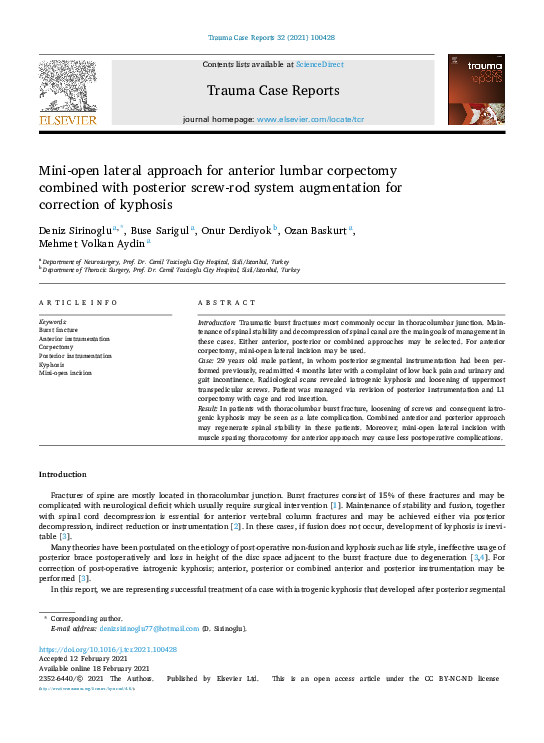 (PDF) Mini-open lateral approach for anterior lumbar corpectomy ...