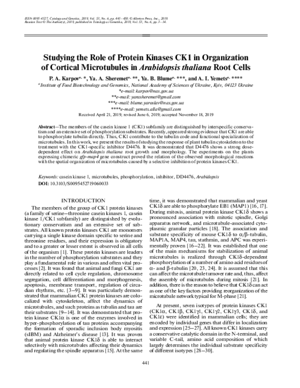 (PDF) Studying the Role of Protein Kinases CK1 in Organization of ...