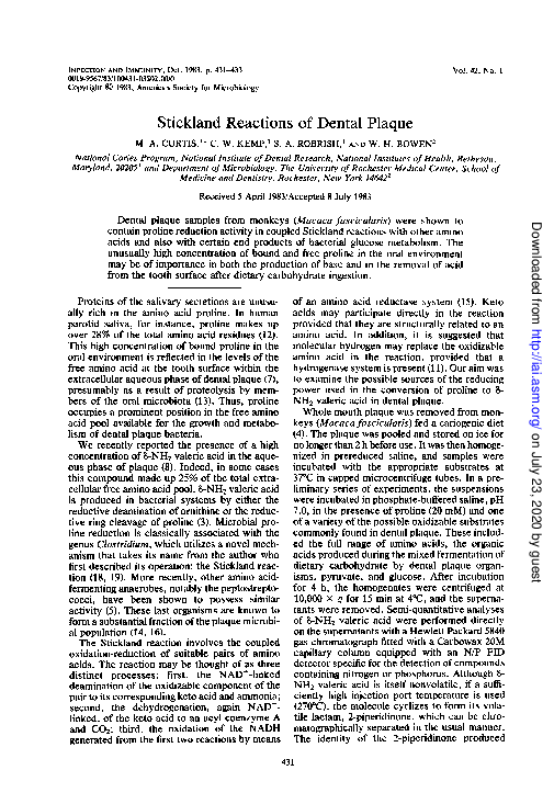 Stickland reactions of dental plaque