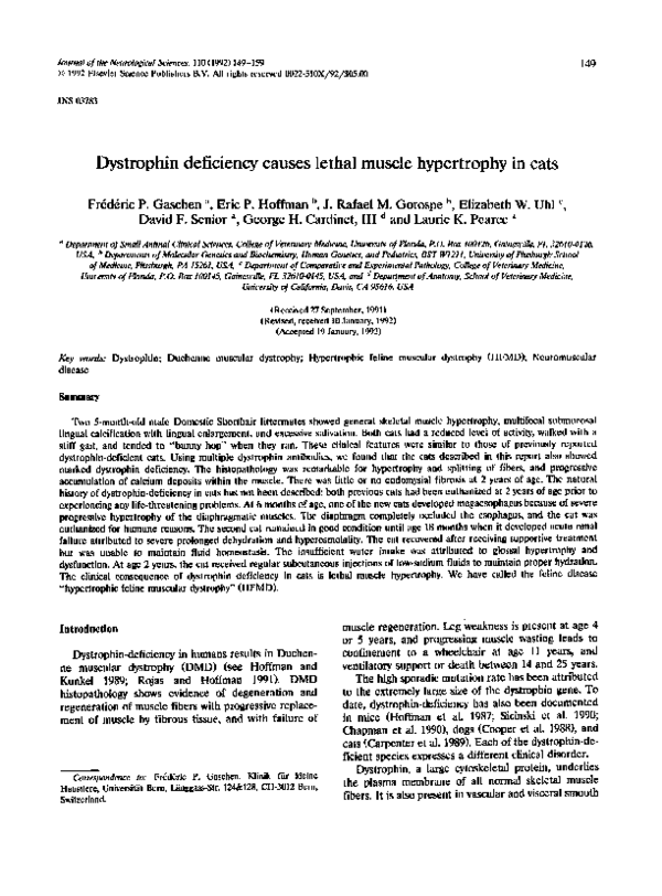 (PDF) Dystrophin deficiency causes lethal muscle hypertrophy in cats