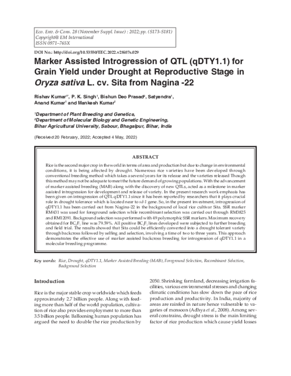 (PDF) Marker Assisted Introgression of QTL (qDTY1.1) for Grain Yield under Drought at ...