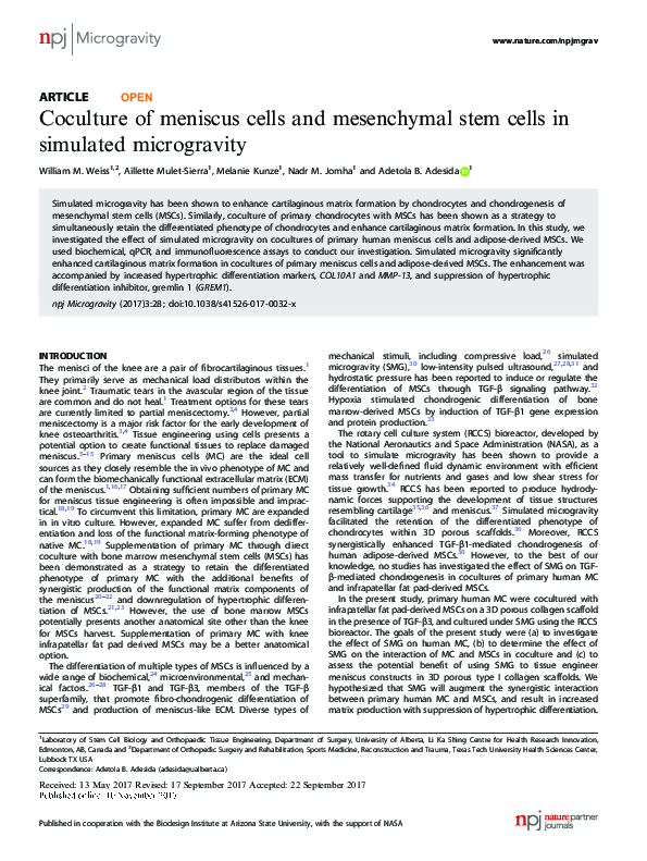 (PDF) Coculture of meniscus cells and mesenchymal stem cells in ...