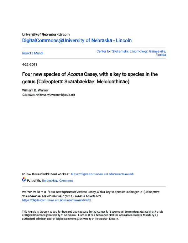(PDF) 0172. Four new species of Acoma Casey with a key to species in ...