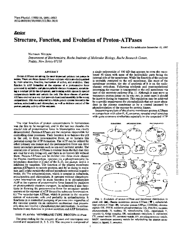 (PDF) Proton-ATPases: Structure, Function, and Evolutionary Insights