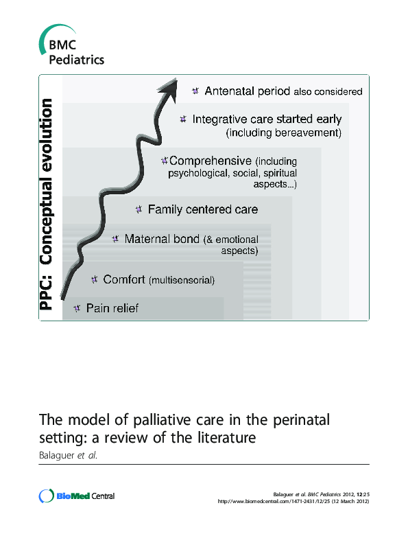 (PDF) The model of palliative care in the perinatal setting: a review of the literature | Darío ...