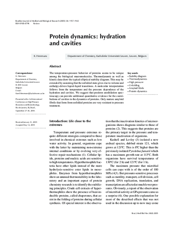 (PDF) Protein dynamics: hydration and cavities