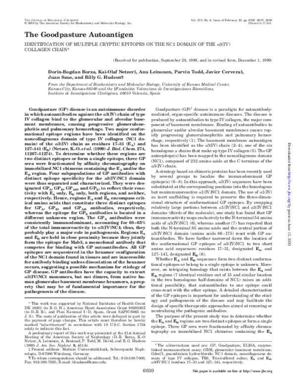 (PDF) The Goodpasture Autoantigen