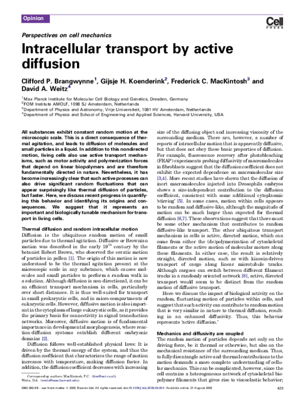 (PDF) Intracellular transport by active diffusion