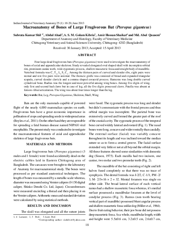 (PDF) Macroanatomy of Bones of Large Frugivorous Bat (Pteropus giganteus)
