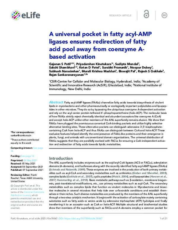 (PDF) A universal pocket in fatty acyl-AMP ligases ensures redirection ...