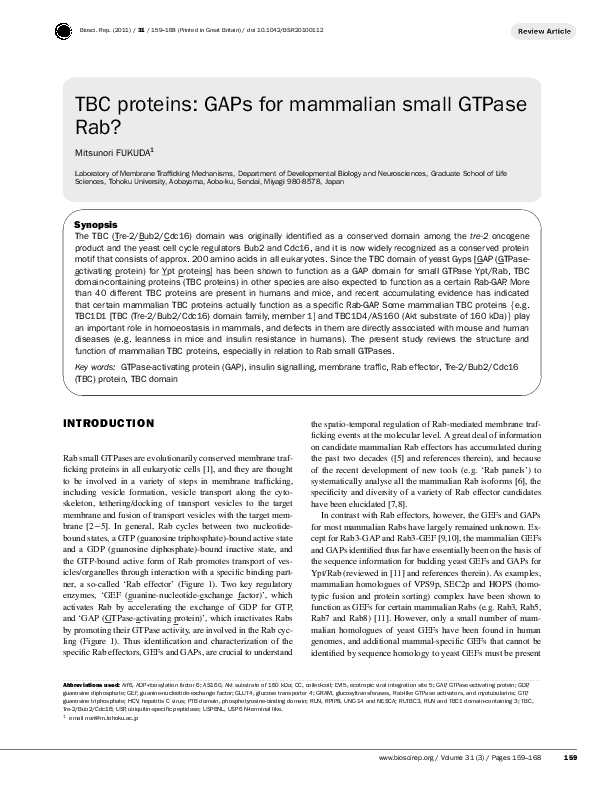 (PDF) TBC proteins: GAPs for mammalian small GTPase Rab?