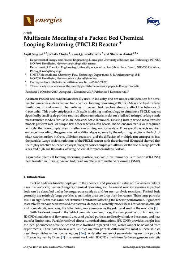 (PDF) Multiscale Modeling of a Packed Bed Chemical Looping Reforming ...
