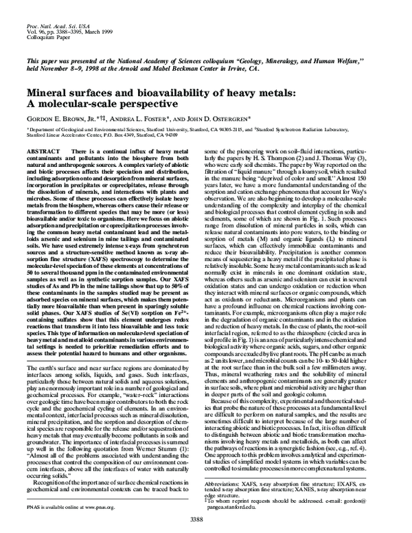 (PDF) Mineral surfaces and bioavailability of heavy metals: A molecular ...