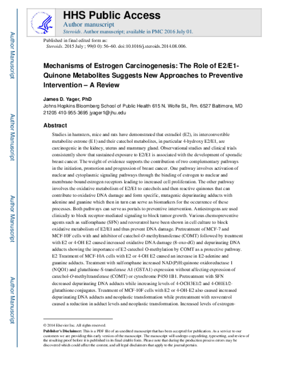 (PDF) Mechanisms of estrogen carcinogenesis: The role of E2/E1-quinone ...