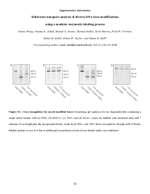 (PDF) Solid-State Nanopore Analysis of Diverse DNA Base Modifications ...