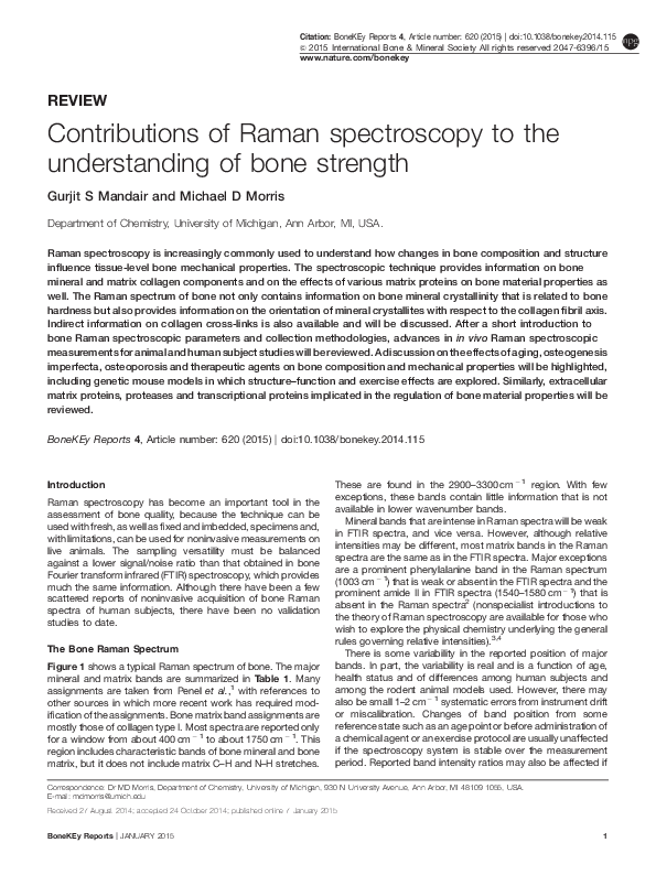 (PDF) Contributions of Raman spectroscopy to the understanding of bone ...