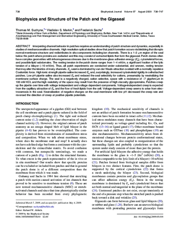 (PDF) Biophysics and Structure of the Patch and the Gigaseal | Thomas ...