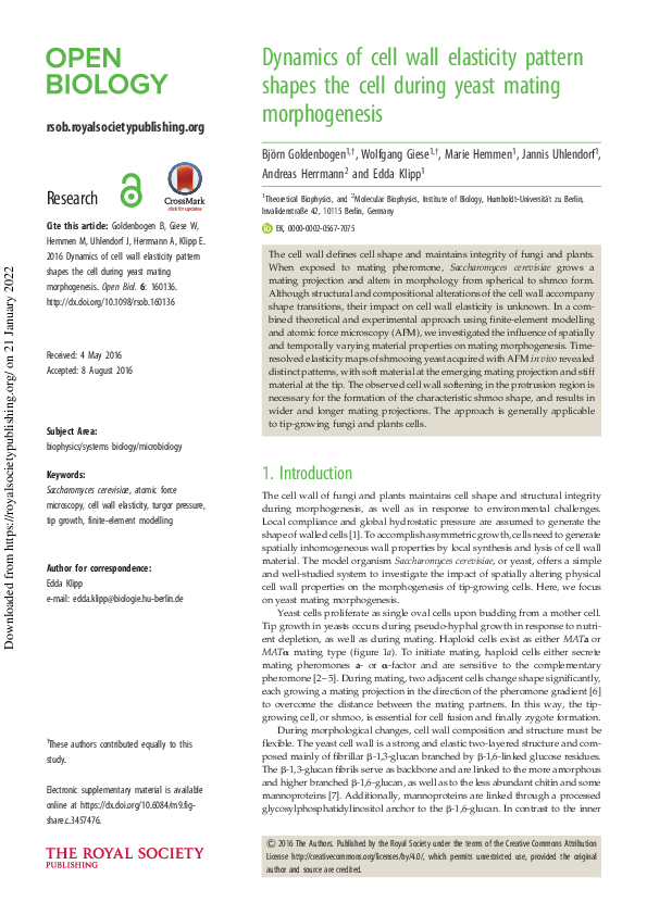 (PDF) Dynamics of cell wall elasticity pattern shapes the cell during yeast mating morphogenesis