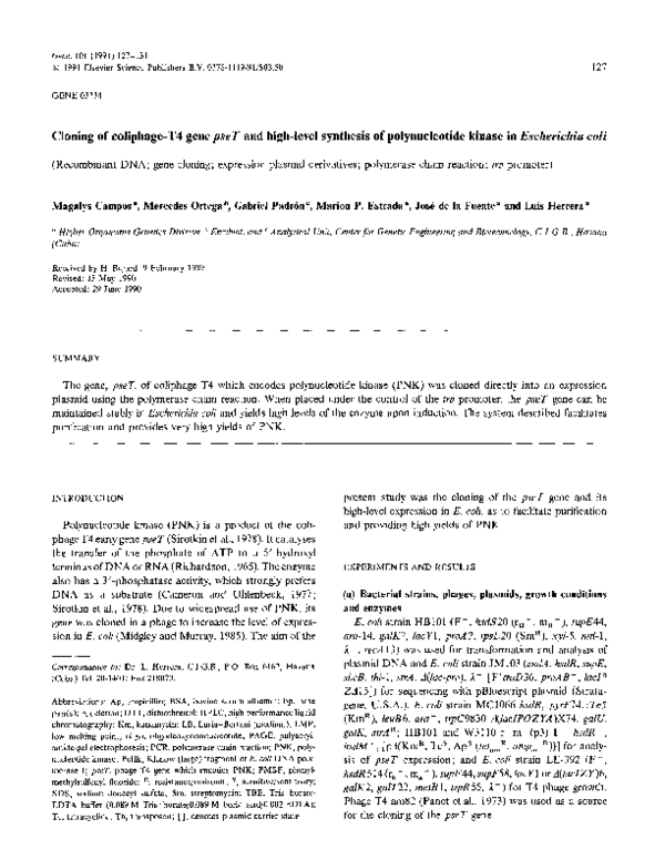 (PDF) Cloning of coliphage-T4 gene pseT and high-level synthesis of ...