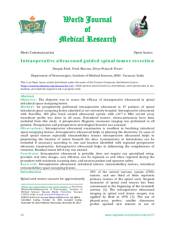 (PDF) Intraoperative Ultrasound Guided Spinal Tumor Resection