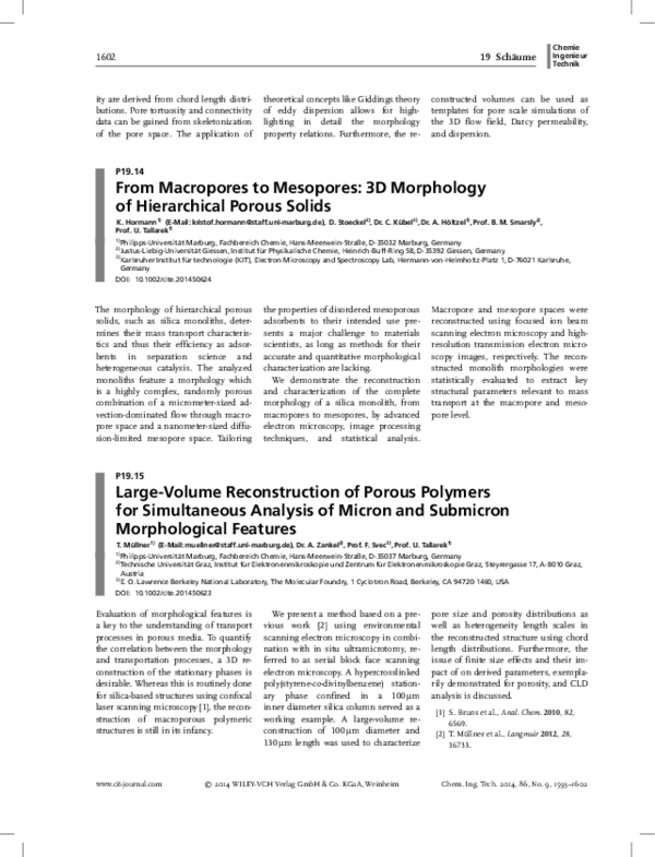 (PDF) From Macropores to Mesopores: 3D Morphology of Hierarchical ...