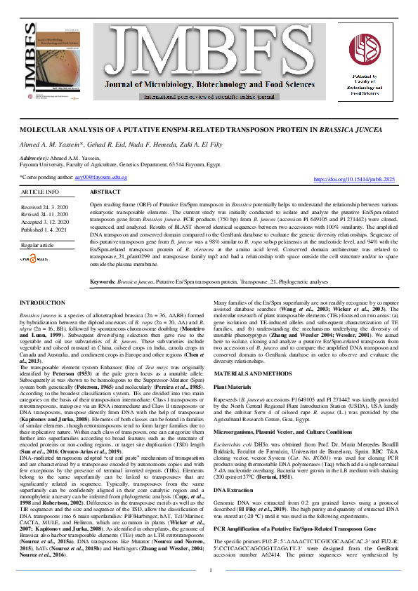 (PDF) Molecular Analysis of a Putative En/SPM-Related Transposon ...