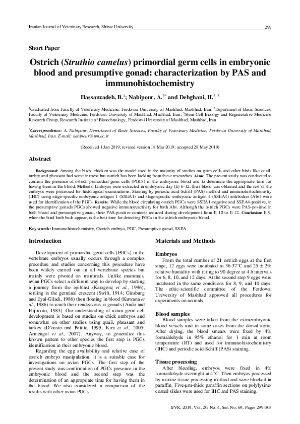 (PDF) Ostrich (Struthio camelus) primordial germ cells in embryonic ...