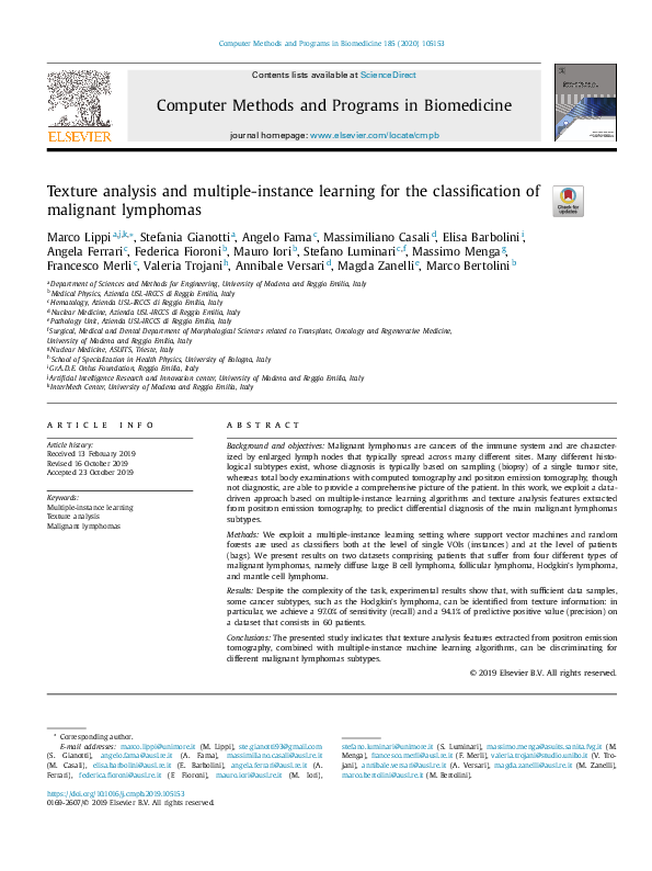 (PDF) Texture analysis and multiple-instance learning for the classification of malignant ...