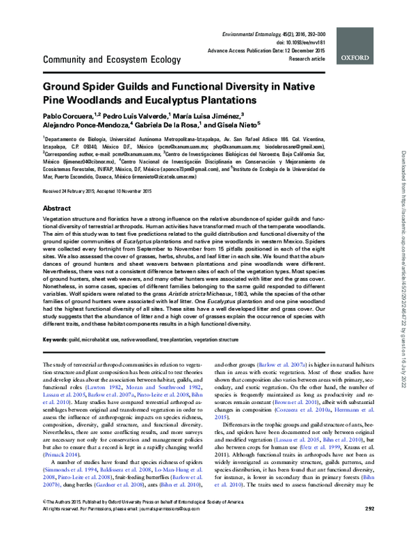 (PDF) Ground Spider Guilds and Functional Diversity in Native Pine ...