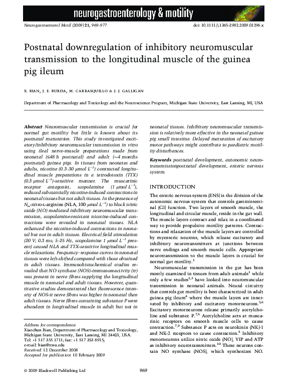 (PDF) Postnatal downregulation of inhibitory neuromuscular transmission ...