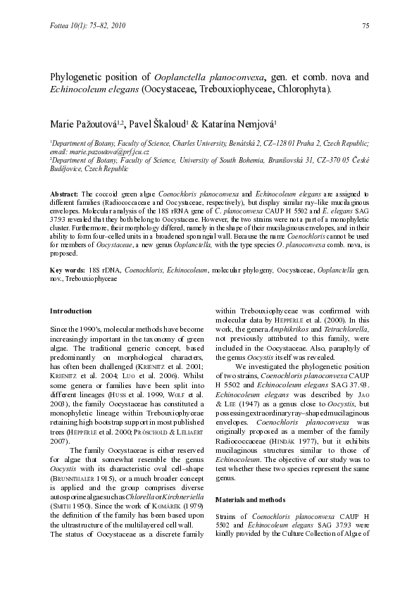 (PDF) Phylogenetic position of Ooplanctella planoconvexa gen. et comb ...