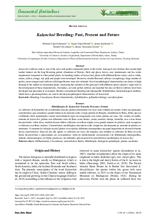 (PDF) Kalanchoë Breeding: Past, Present and Future