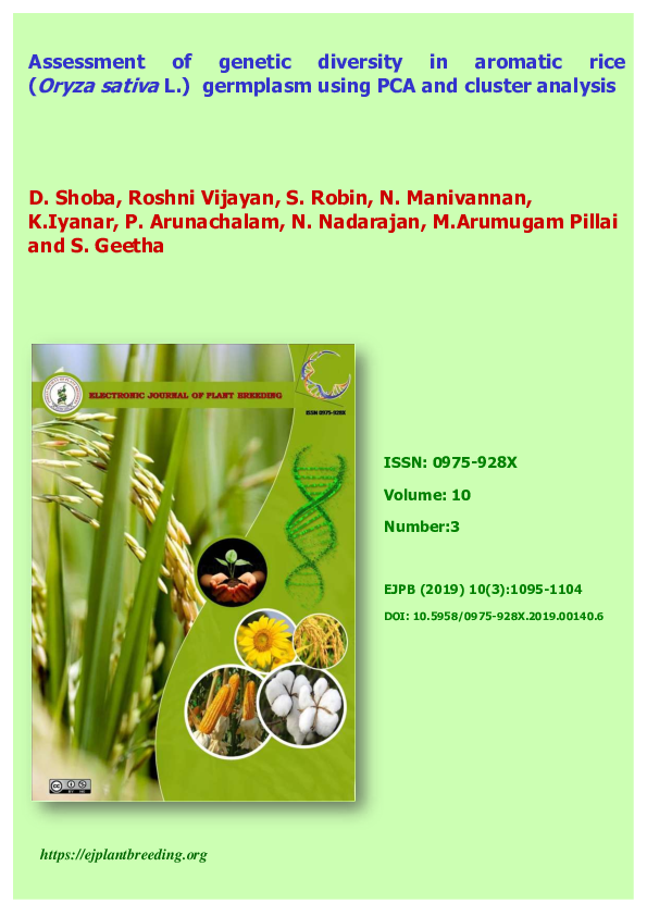 (PDF) Assessment of genetic diversity in aromatic rice (Oryza sativa L ...