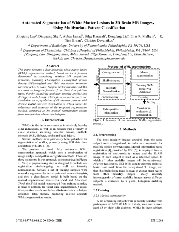 (PDF) Automated Segmentation of White Matter Lesions in 3D Brain MR Images, using Multivariate ...