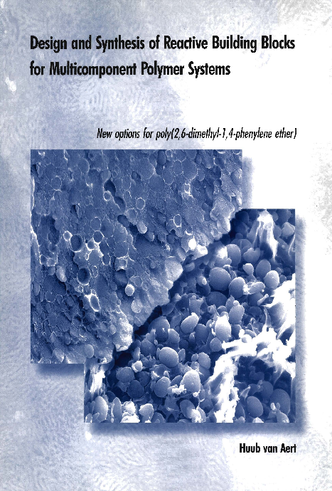 (PDF) Design and Synthesis of Reactive Building Blocks for Multicomponent Polymer Systems | Huub ...