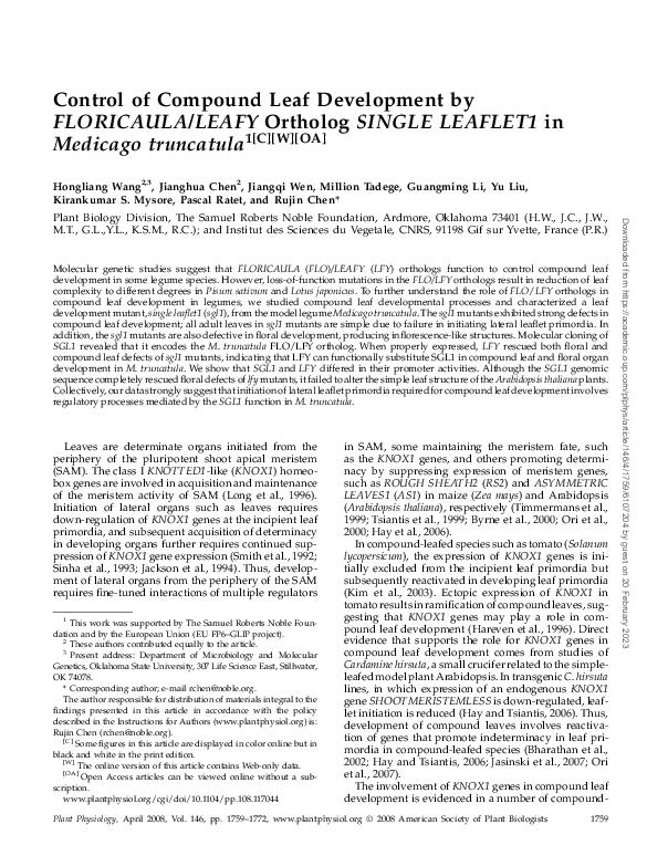 (PDF) Control of Compound Leaf Development by FLORICAULA/LEAFY Ortholog ...