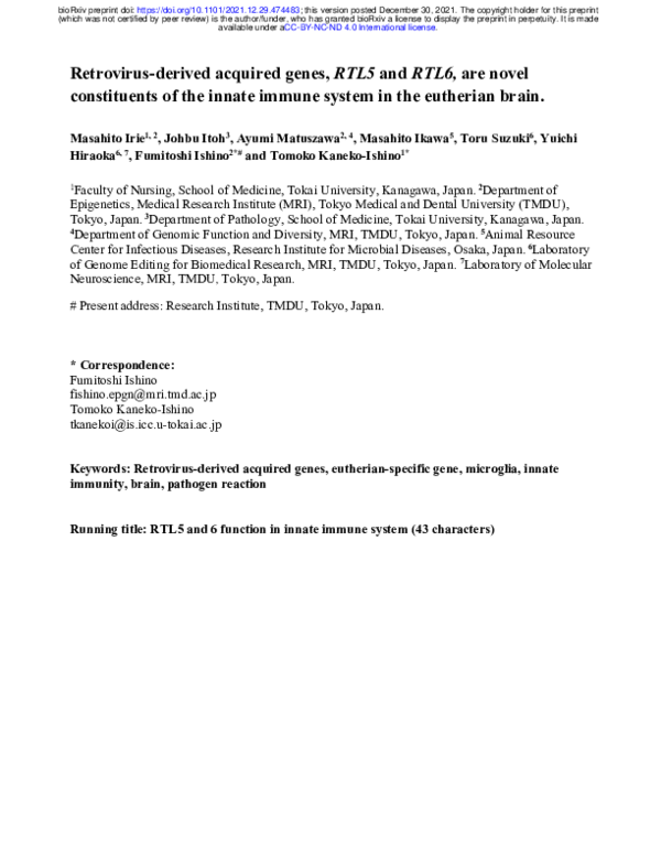 (PDF) Retrovirus-derived acquired genes, RTL5 and RTL6, are novel ...