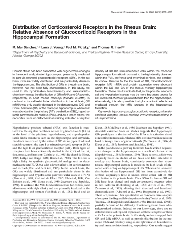 (PDF) Distribution of Corticosteroid Receptors in the Rhesus Brain ...