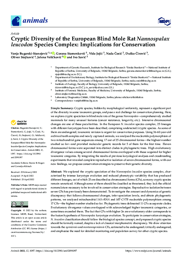 (PDF) Cryptic Diversity of the European Blind Mole Rat Nannospalax ...