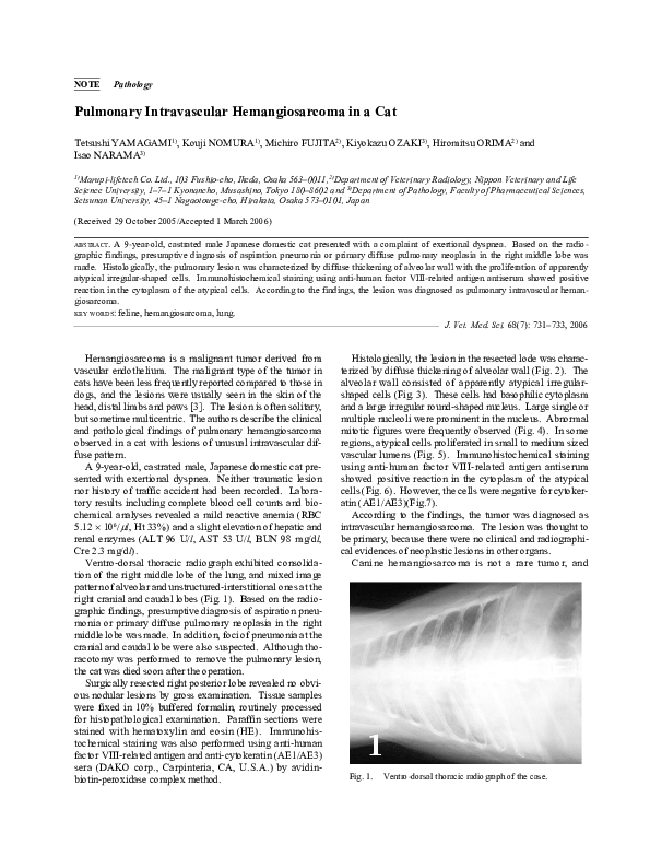 (PDF) Pulmonary Intravascular Hemangiosarcoma in a Cat