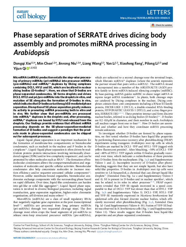 (PDF) Phase separation of SERRATE drives dicing body assembly and ...