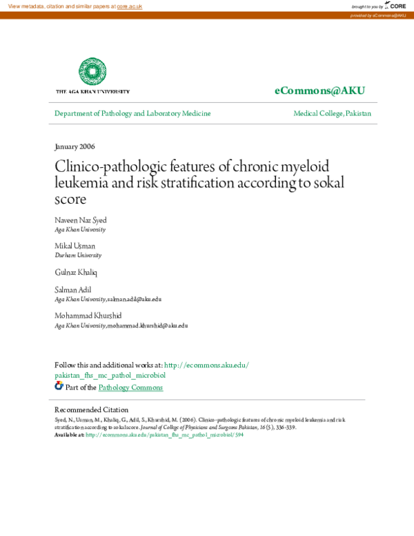 (PDF) Clinico-pathologic features of chronic myeloid leukemia and risk stratification according ...