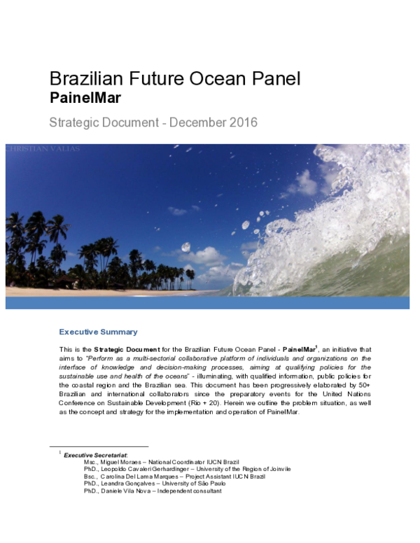 (PDF) Brazilian Future Ocean Panel (PainelMar): Strategic Document